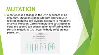 General Biology Report.pptx