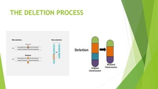 General Biology Report.pptx
