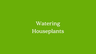 General Care of Houseplants Presentation | PDF