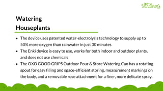 General Care of Houseplants Presentation | PDF