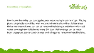 General Care of Houseplants Presentation | PDF