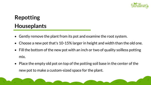 General Care of Houseplants Presentation | PDF