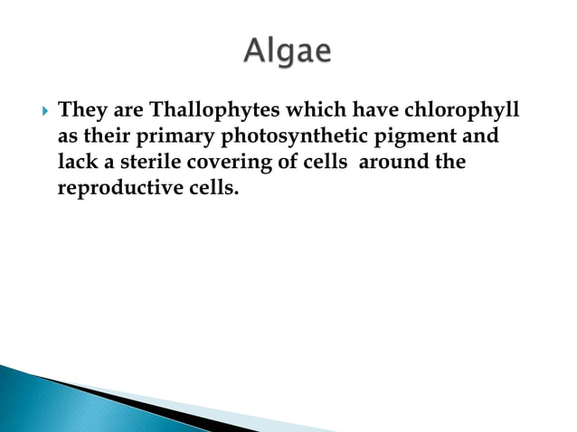 General characteristics of algae | PPTX