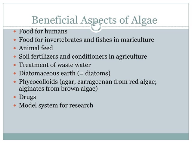 General characteristics of algae | PPTX