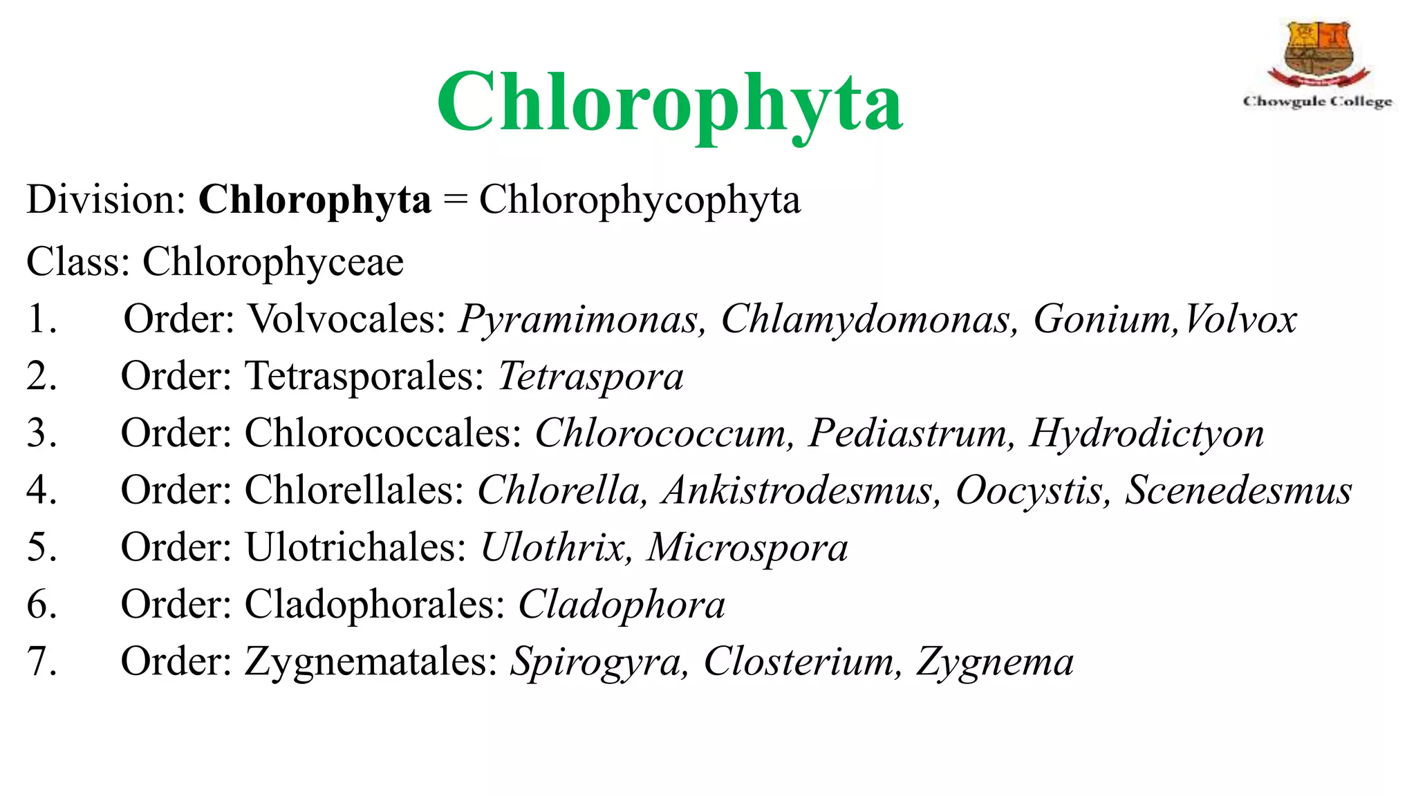 General characteristics of algae | PPTX
