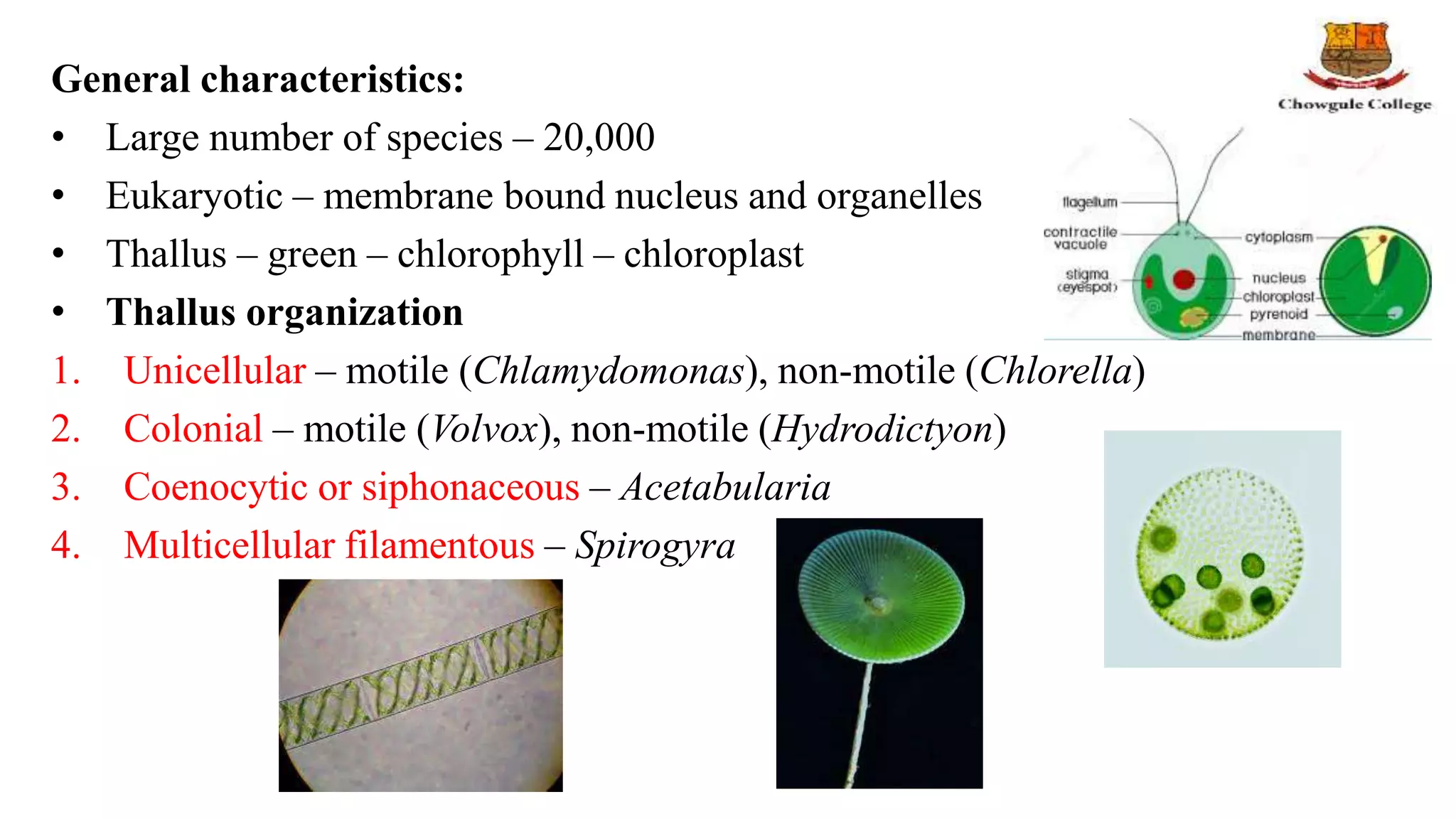 General characteristics of algae | PPTX | Infertility | Reproductive Health