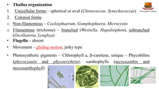 General characteristics of algae | PPTX