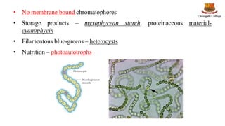 General characteristics of algae | PPTX
