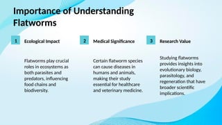 General characteristics of flat worms. Flukes (Trematodes). Blood ...