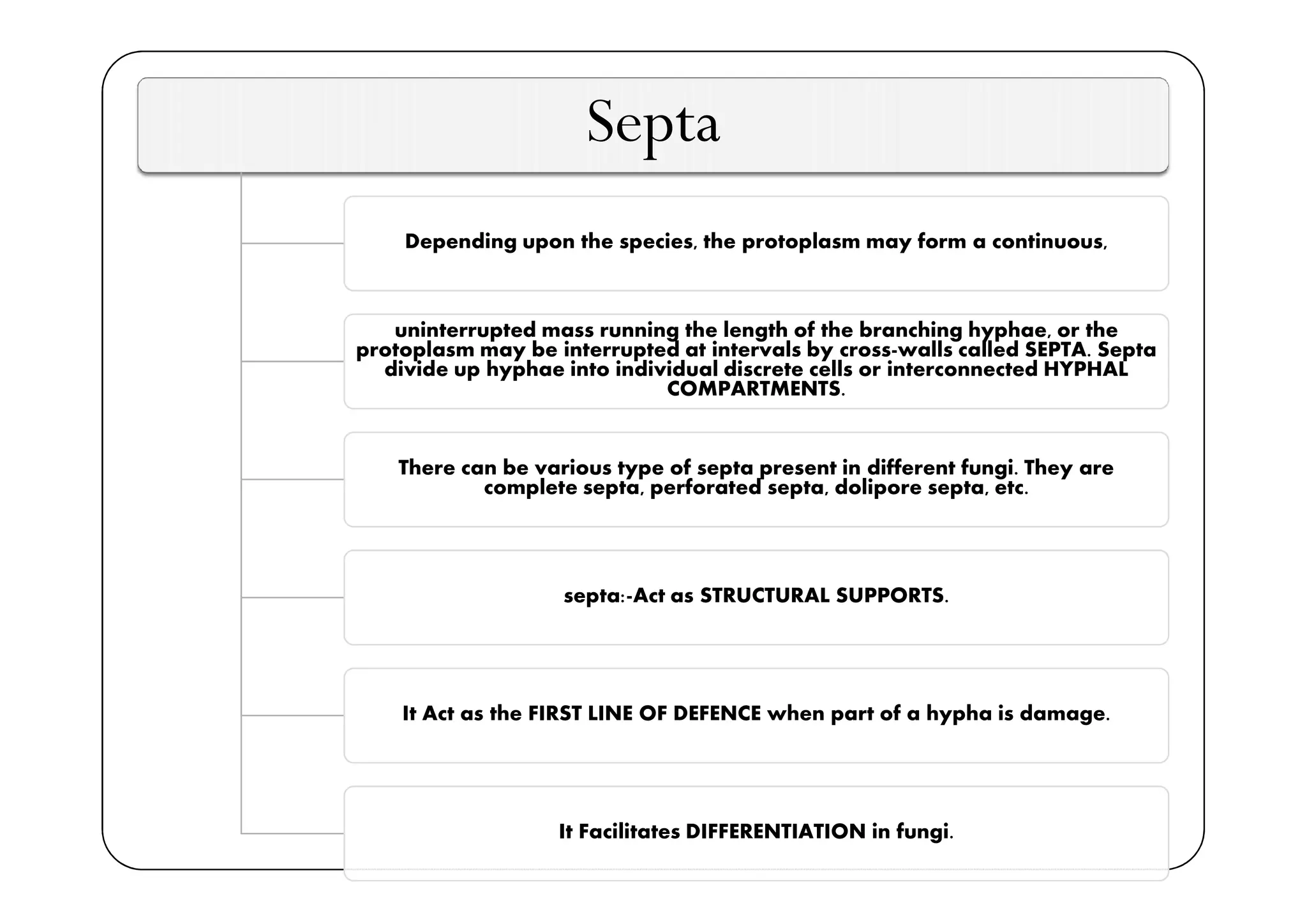 General characteristics of fungi | PDF