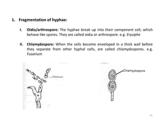 General_characteristics_of_Fungi.pptx