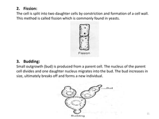 General_characteristics_of_Fungi.pptx