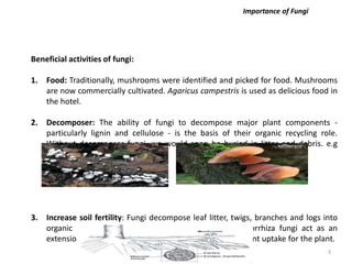 General_characteristics_of_Fungi.pptx