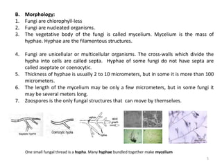 General_characteristics_of_Fungi.pptx