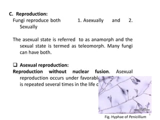 General_characteristics_of_Fungi.pptx