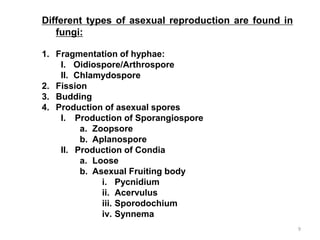 General_characteristics_of_Fungi.pptx