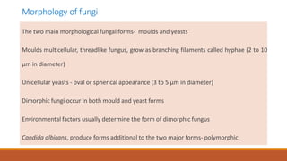 General_characteristics_of_Fungi.pdf............... | PPT