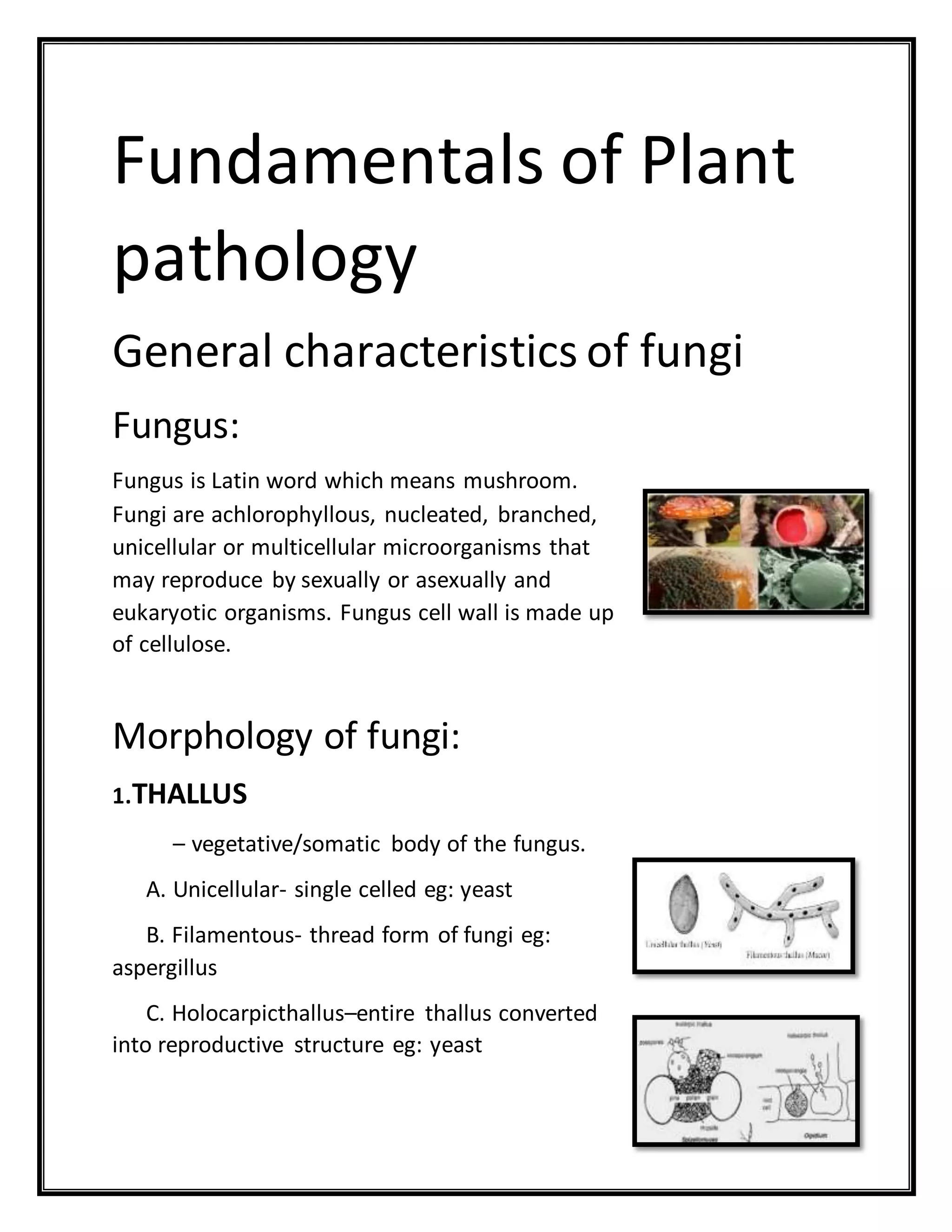 General characteristics of_fungi[1] | DOCX