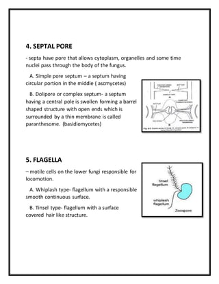 General characteristics of_fungi[1] | DOCX