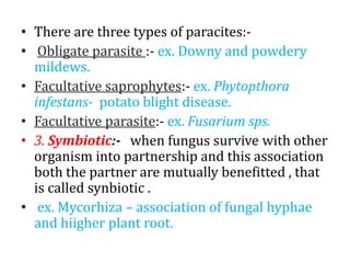 General characteristics of fungi by rk | PDF