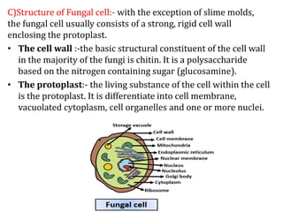 General characteristics of fungi by rk | PDF