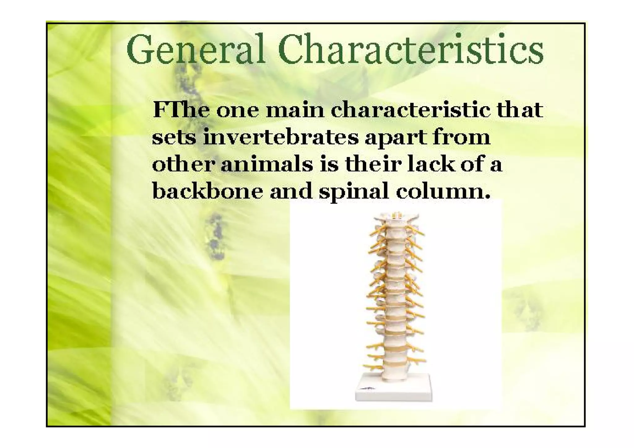 General characteristics of invertebrates | PDF