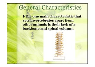 General characteristics of invertebrates | PDF