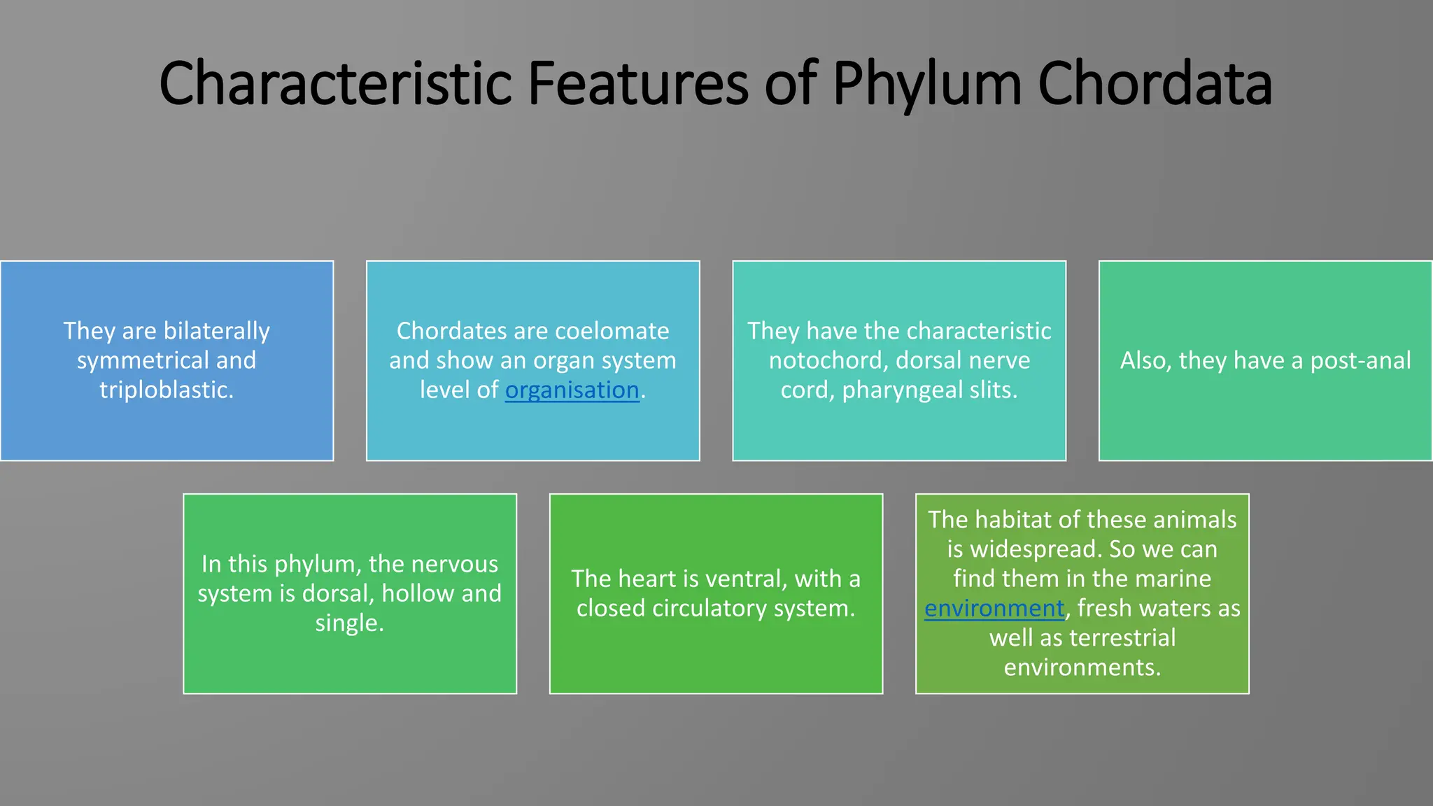 Major phylum in Animal Kingdom.pptx