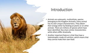 Major phylum in Animal Kingdom.pptx