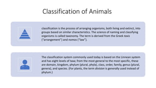 Major phylum in Animal Kingdom.pptx