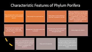 Major phylum in Animal Kingdom.pptx