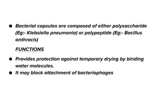 General Characteristics of microbes.pptx