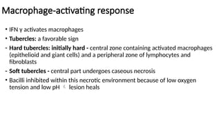 General Characteristics of Mycobacteria and Pathogenesis of TB.pptx