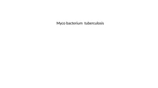 General Characteristics of Mycobacteria and Pathogenesis of TB.pptx