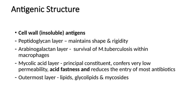 General Characteristics of Mycobacteria and Pathogenesis of TB.pptx