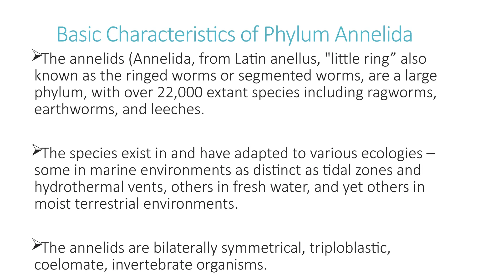 General characteristics of Phylum Annelida.pptx