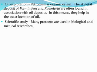 General characteristics of protozoa | PPTX