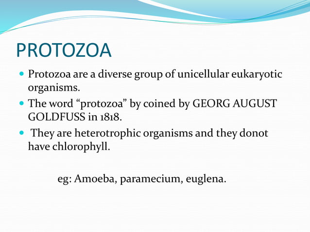 General characteristics of protozoa | PPTX