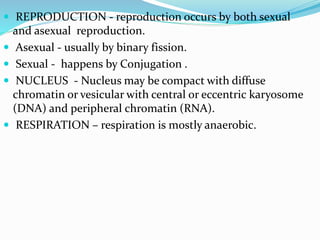General characteristics of protozoa | PPTX
