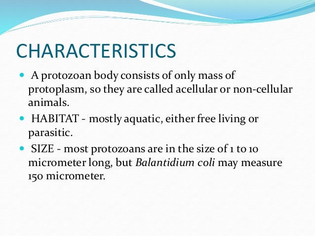 General characteristics of protozoa General characteristics of protozoa