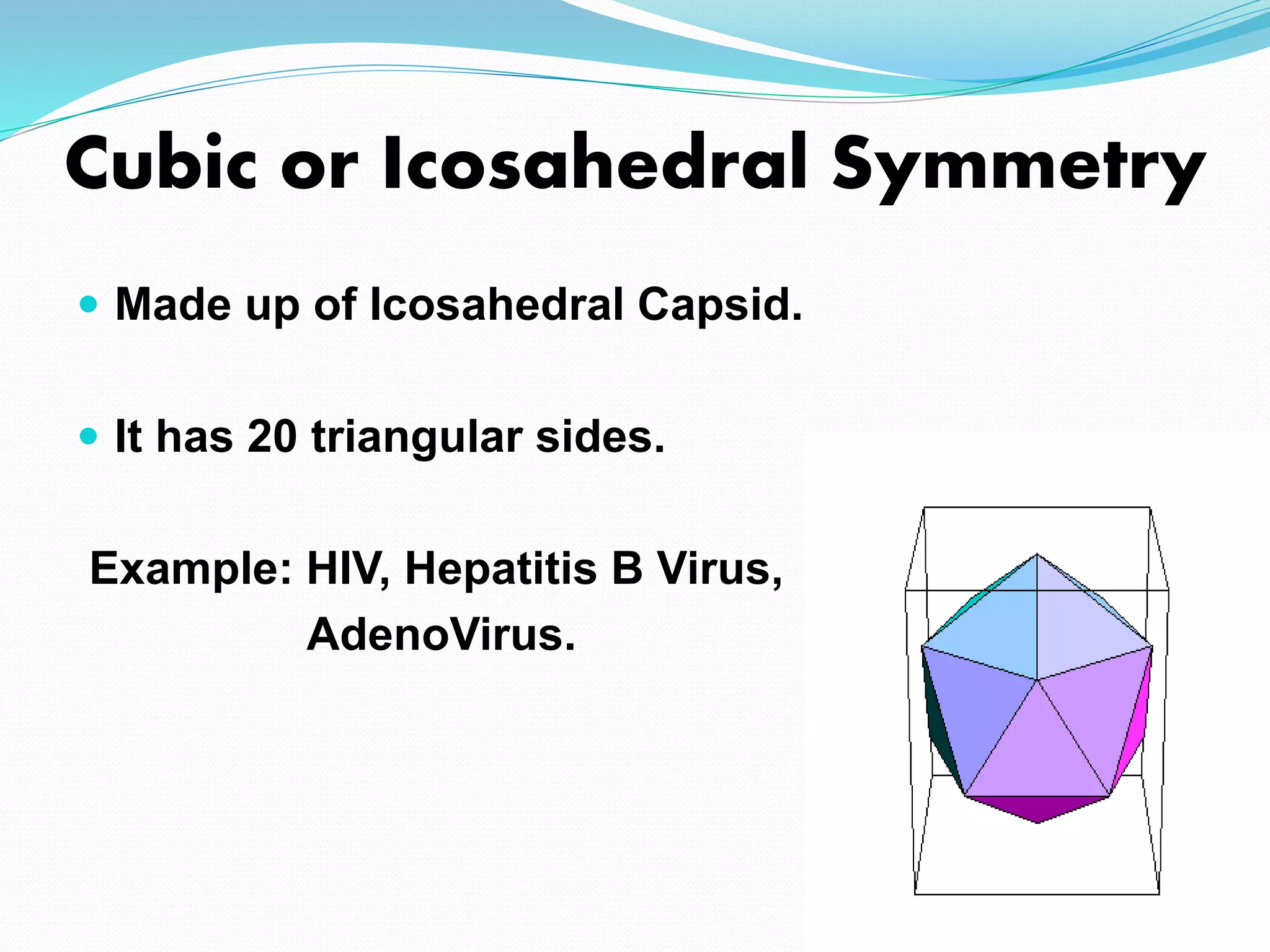 General characteristics of virus | PPTX