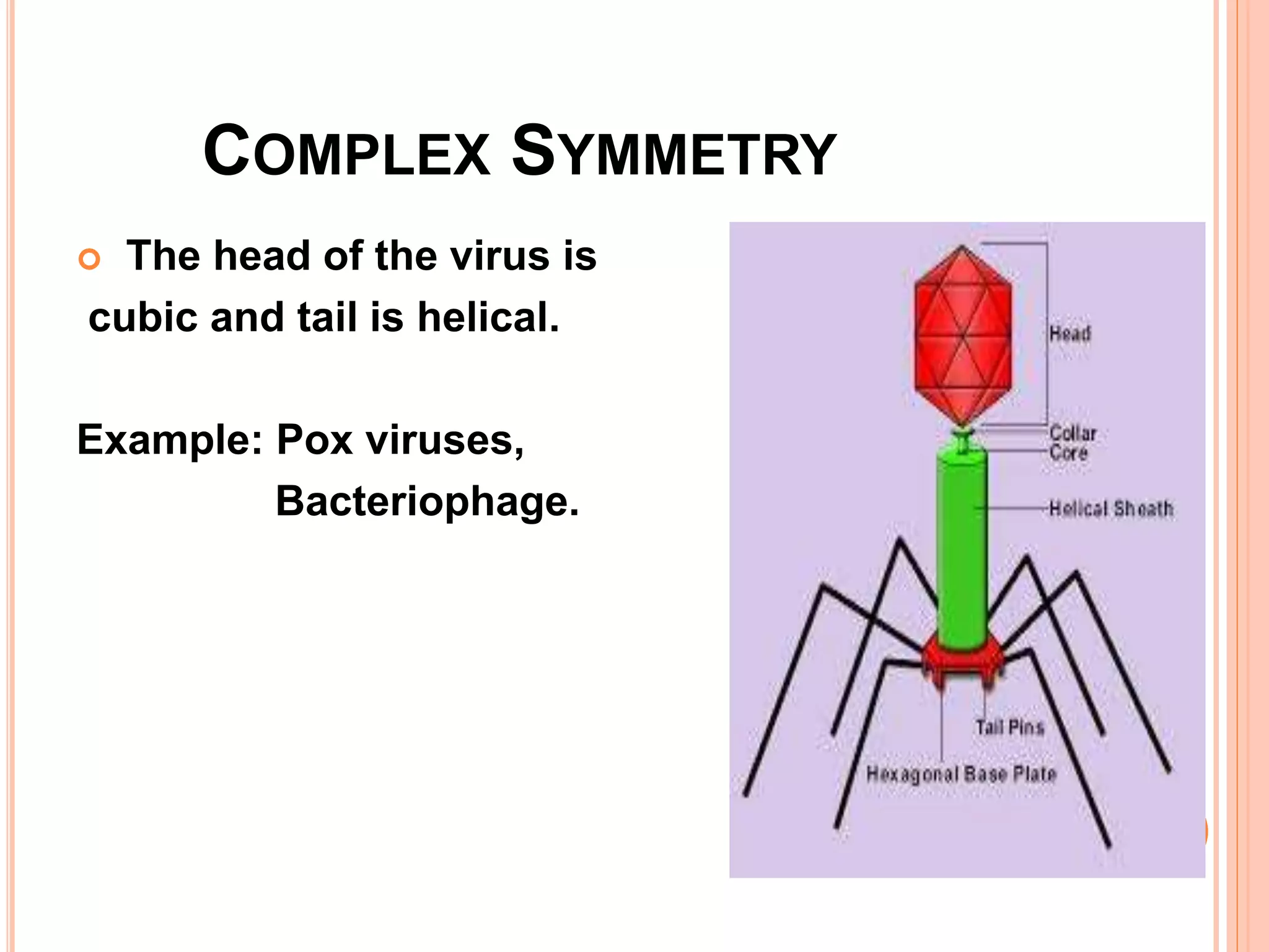 General characteristics of virus | PPTX