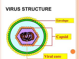 General characteristics of virus | PPTX