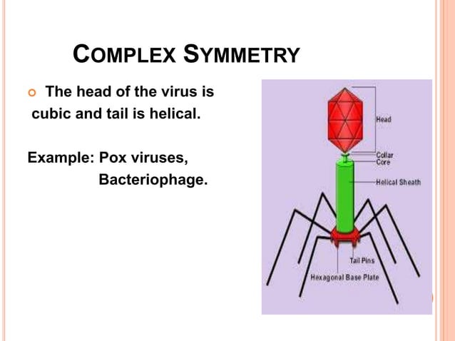 General characteristics of virus | PPTX | Biological Sciences | Science