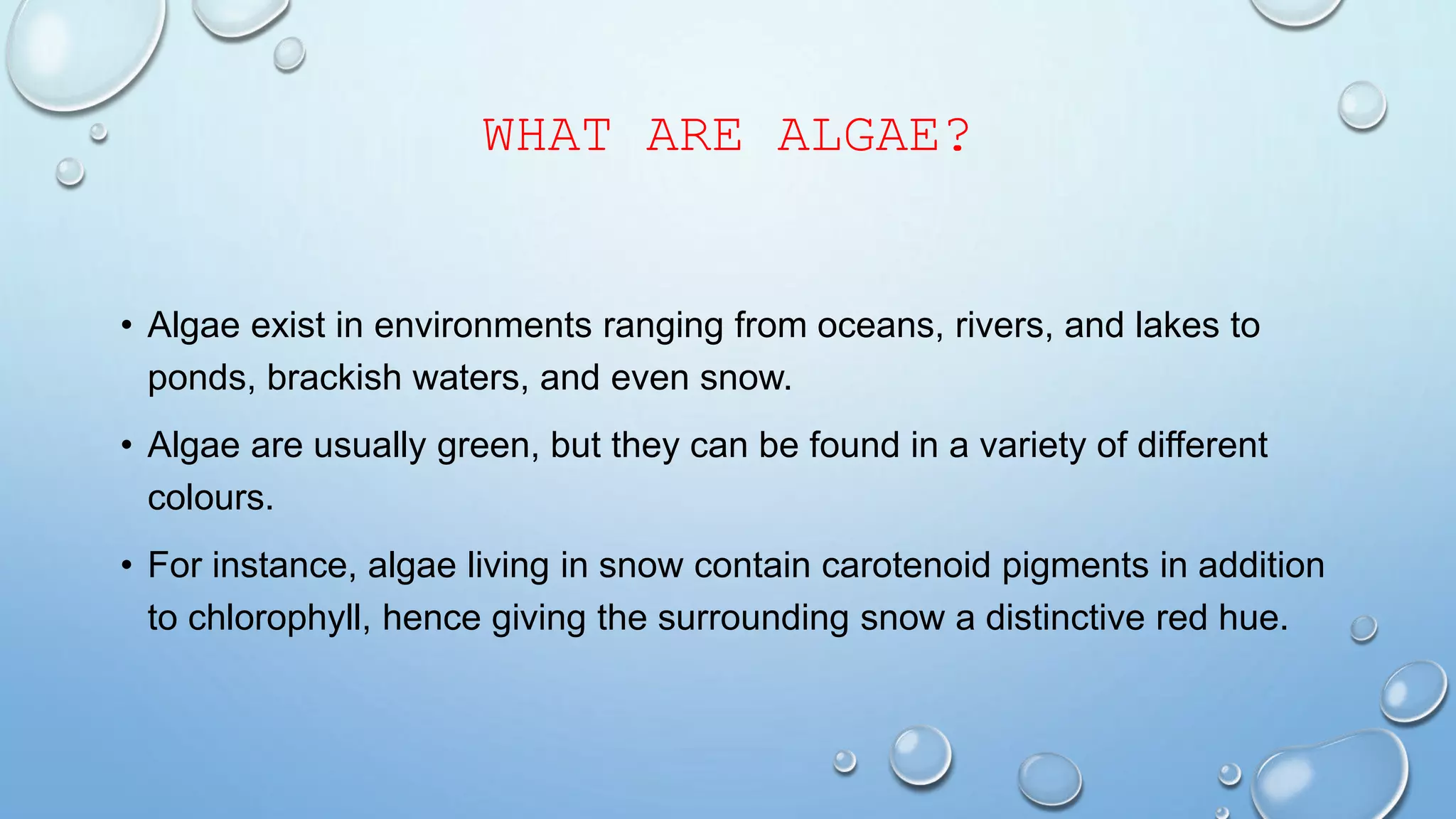 General character of Algae.pptx