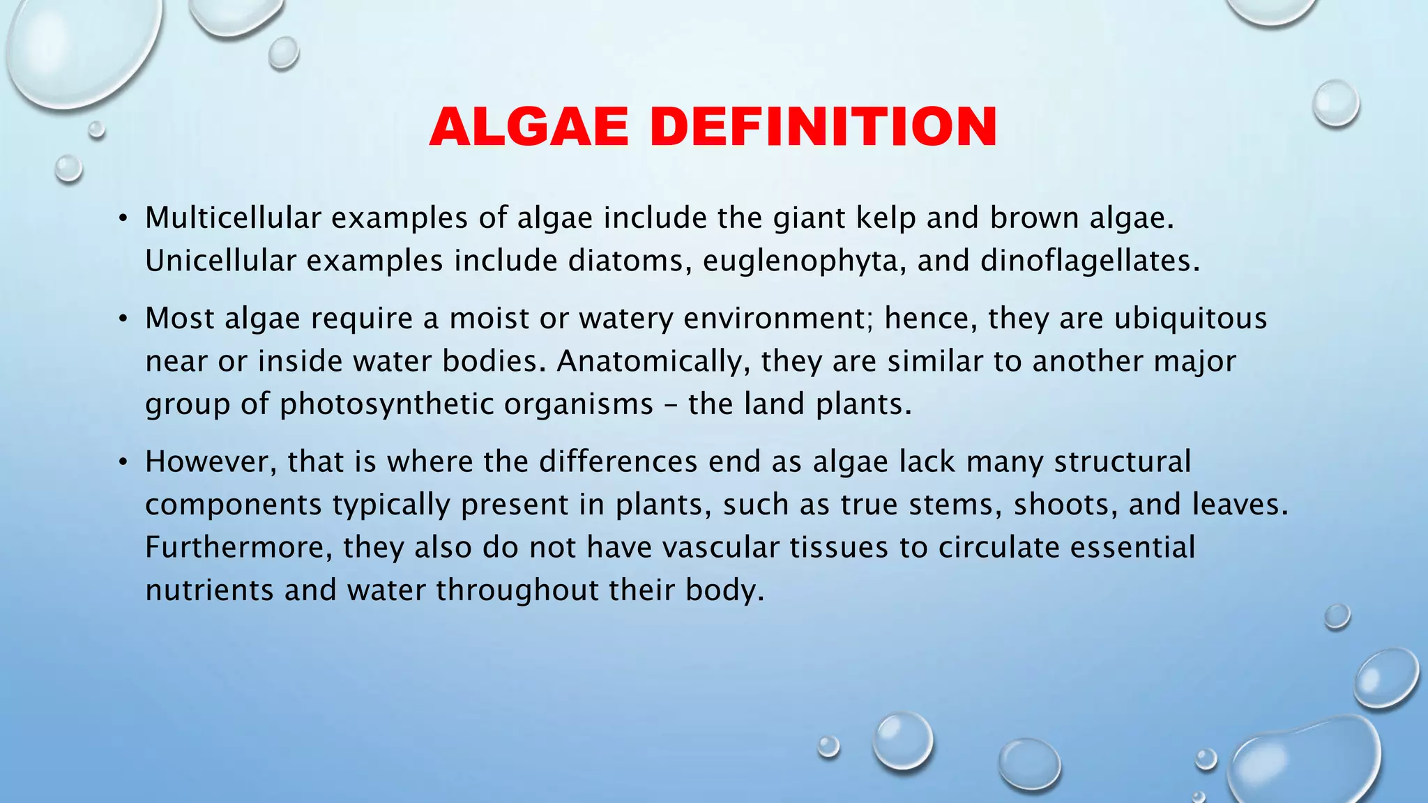 General character of Algae.pptx