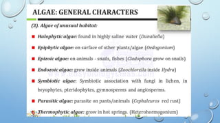 General character of Algae.pptx