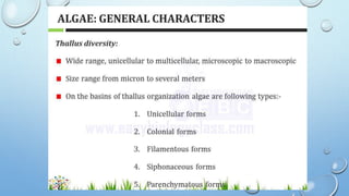 General character of Algae.pptx
