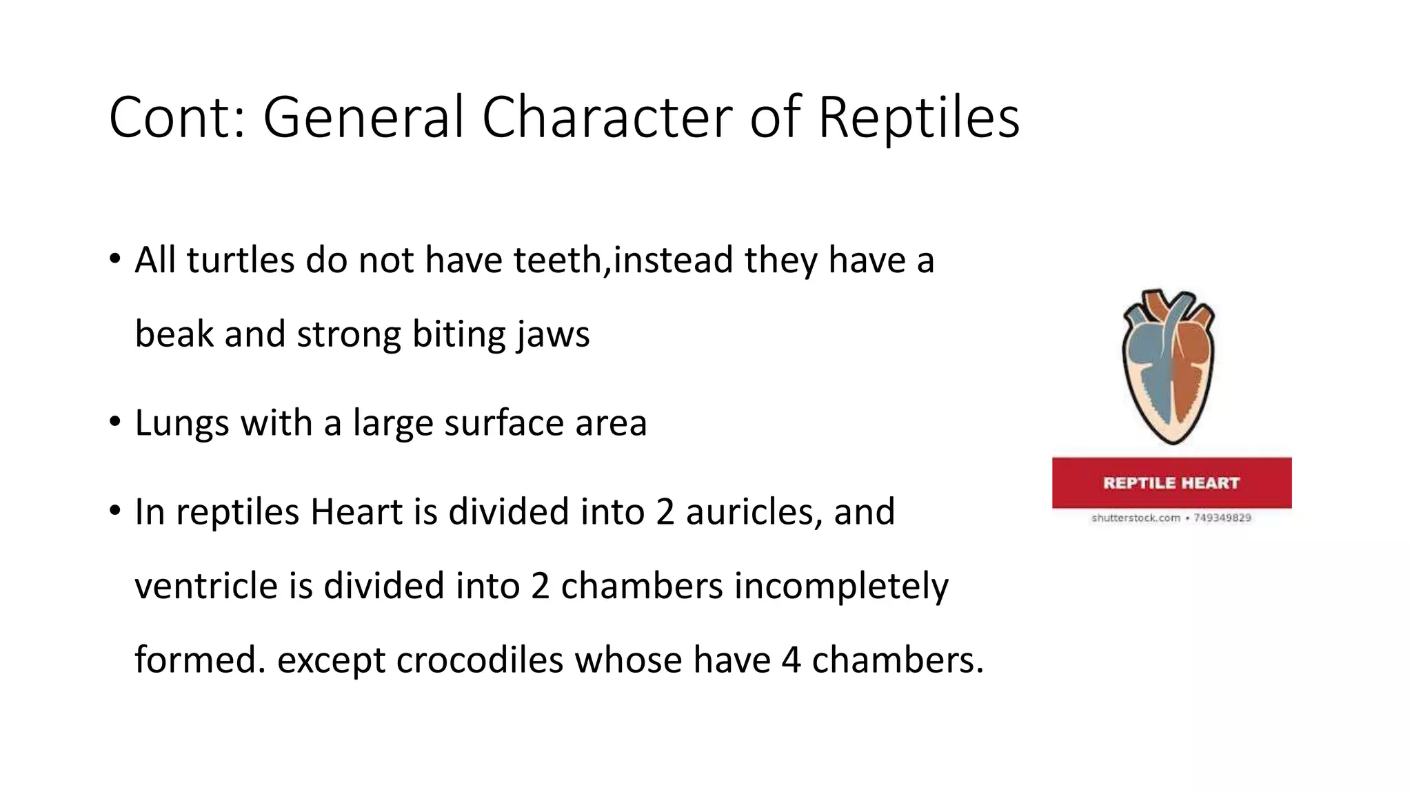 General character of reptiles | PPTX