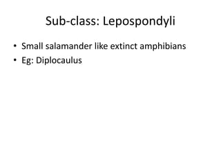 General characters amphibia | PPTX